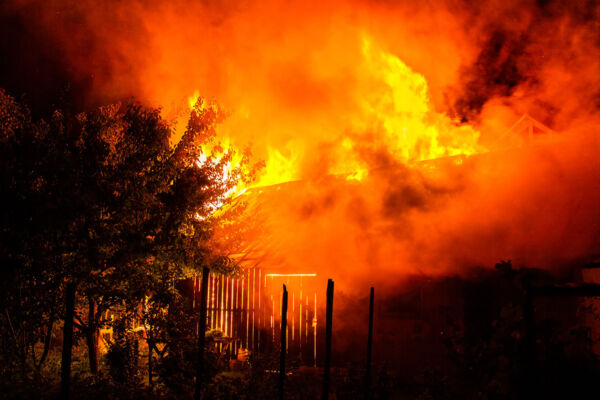 Wildfire Recovery: 5 Essential Steps to Rebuilding